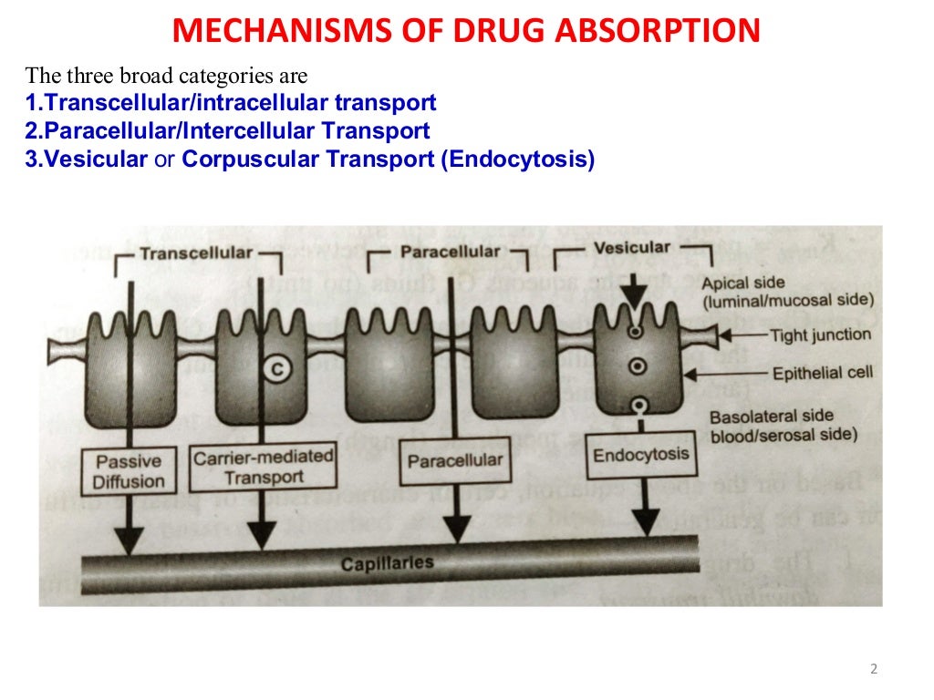 MECHANISMS OF DRUG ABSORPTION