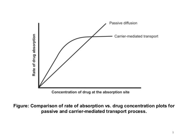 MECHANISMS OF DRUG ABSORPTION