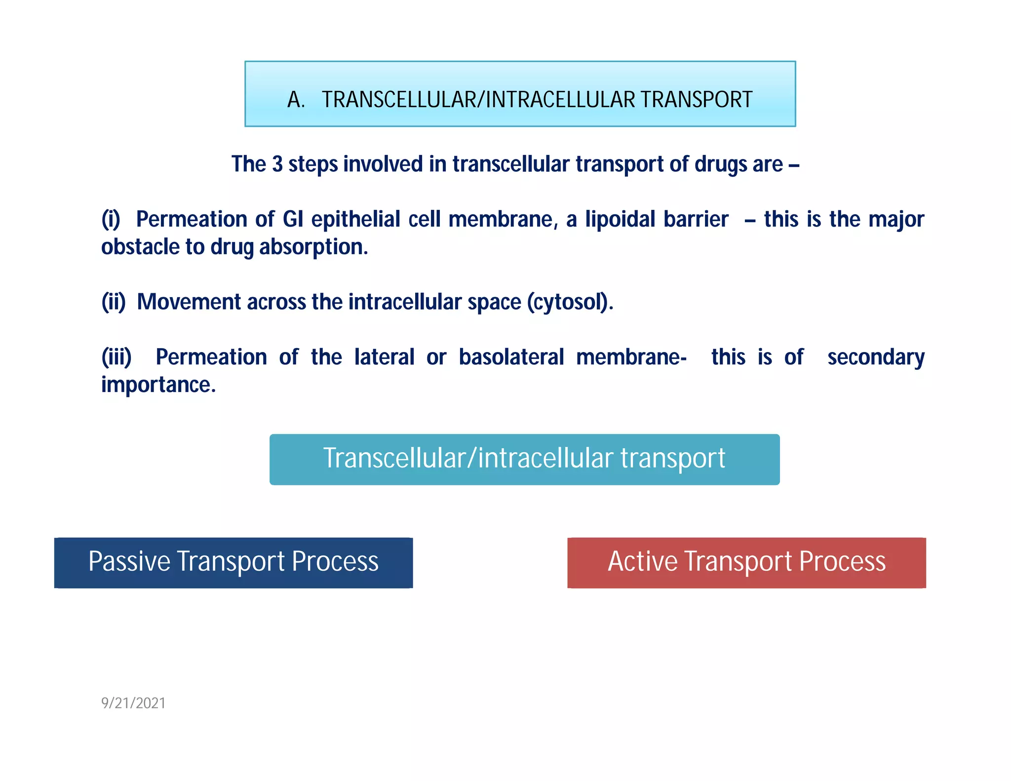 Absorption of drug | PDF