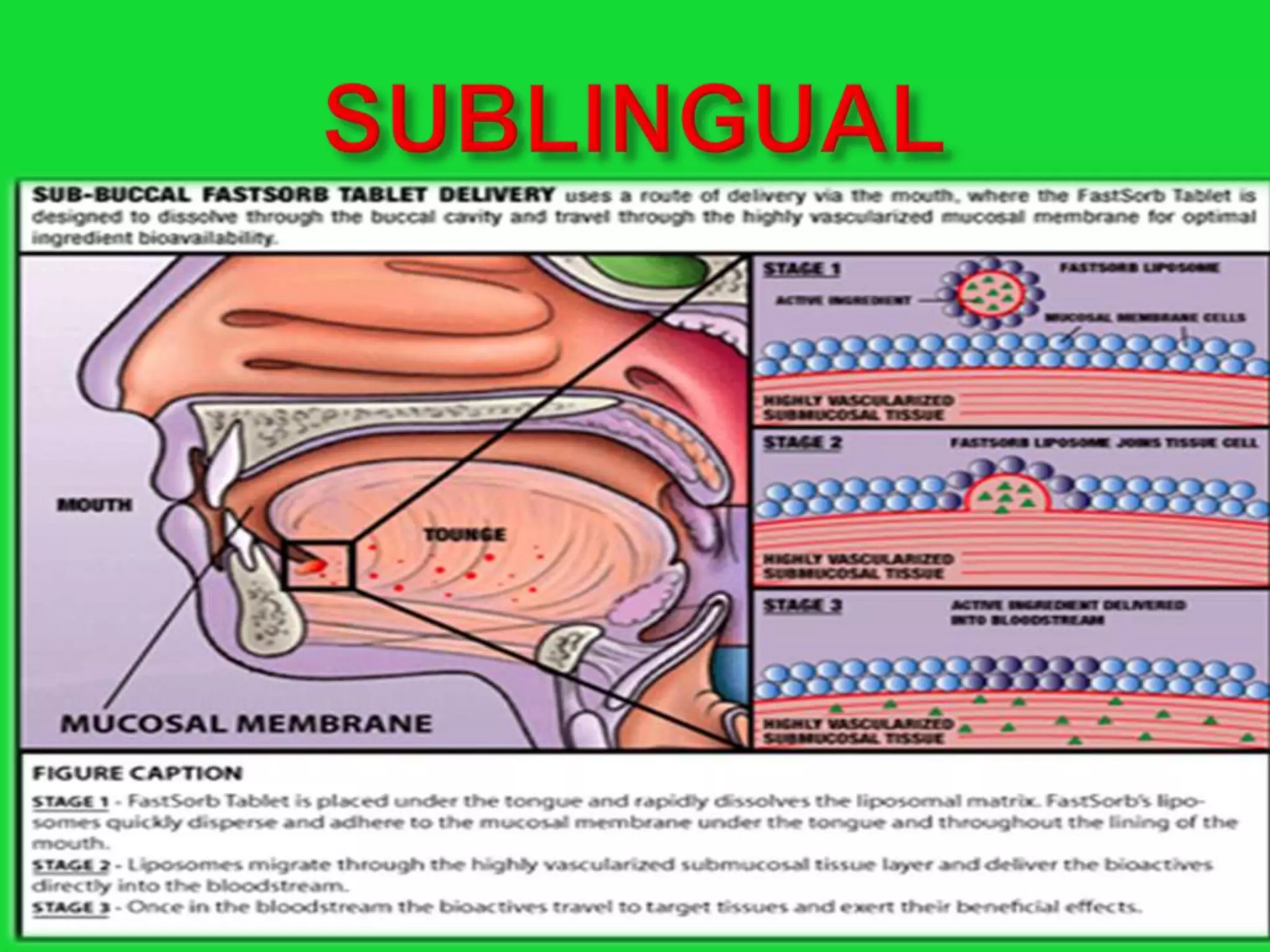 Absorption of drug from non per oral route | PPTX
