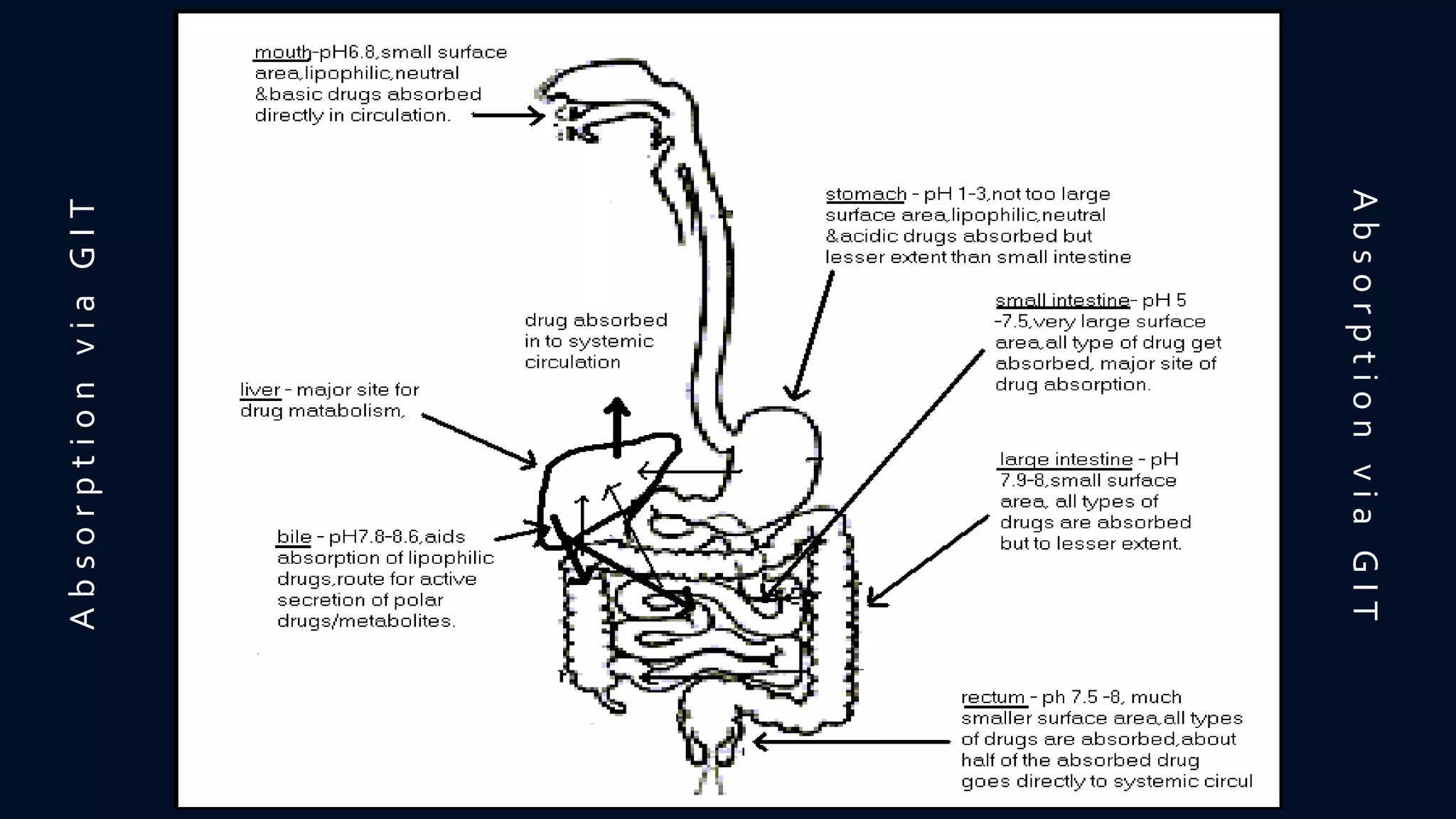 Absorption of drugs Pharmacokinetics | PDF