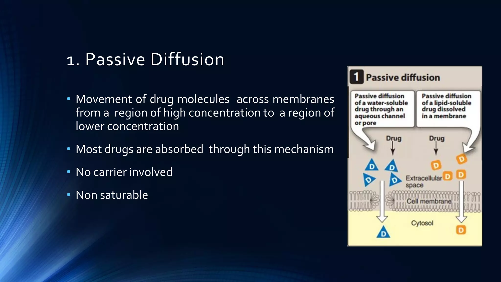 Absorption of drugs Pharmacokinetics | PDF