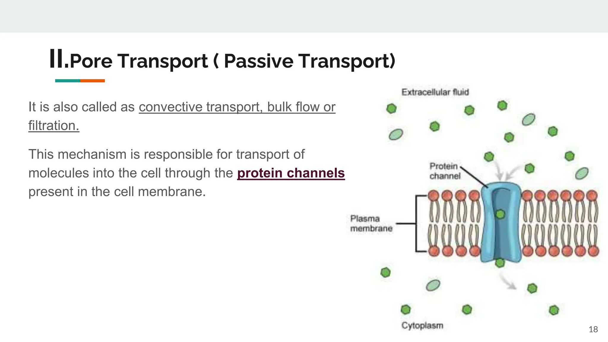 Absorption of Drugs- Biopharmaceutics.pptx