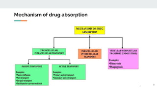 Absorption of Drugs- Biopharmaceutics.pptx