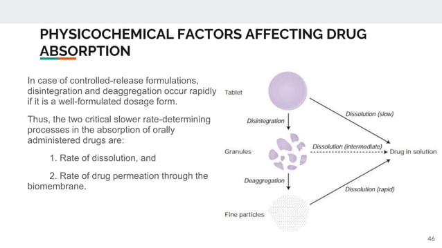 Absorption of Drugs- Biopharmaceutics.pptx | Digestive Disorders ...