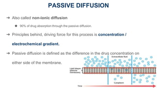 Gastrointestinal Absorption of Drugs | PPTX | Digestive Disorders ...