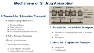 Gastrointestinal Absorption of Drugs | PPTX