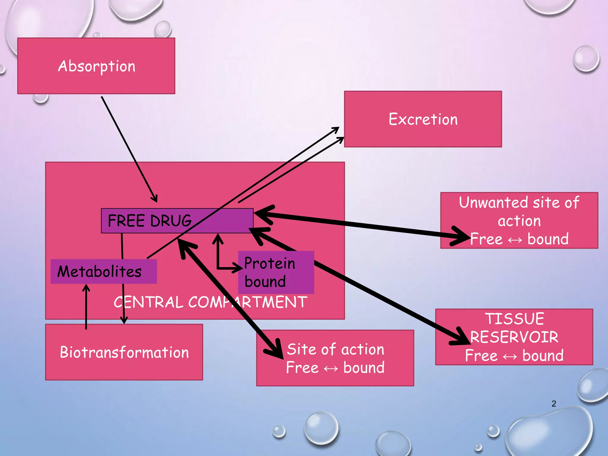 Absorption of drugs continued | PPTX