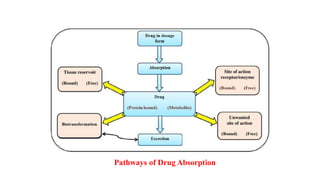 Absorption of Drugs Routes of Drug Administration.pptx