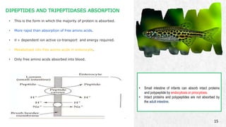 ABSORPTION OF ENERGY YIELDING NUTRIENTS OF FISH AND CRUSTACEANS.pptx