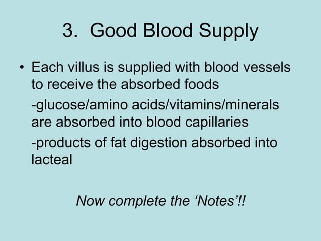 absorption of food.ppt