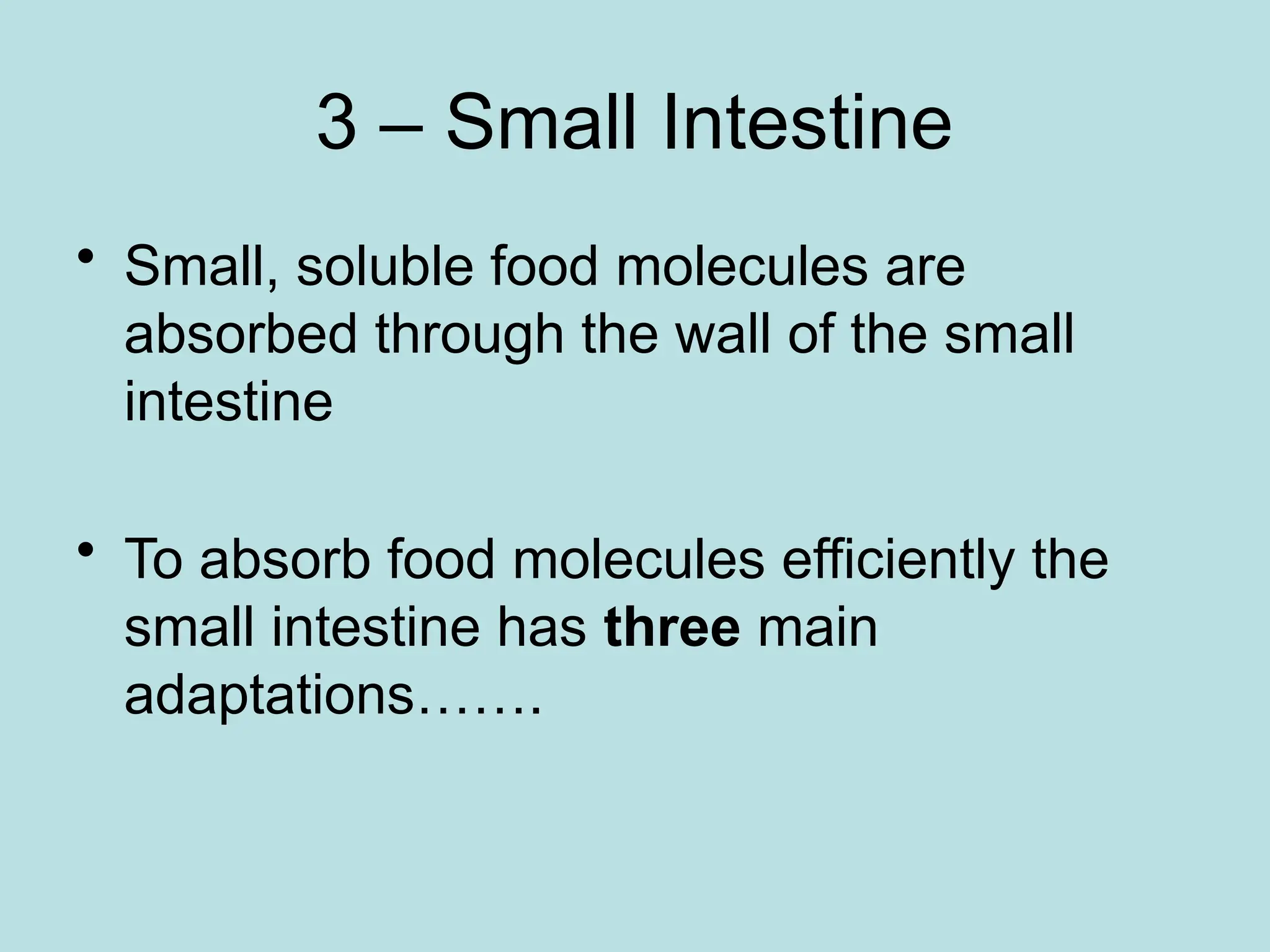 absorption of food_ digestive system.pptx