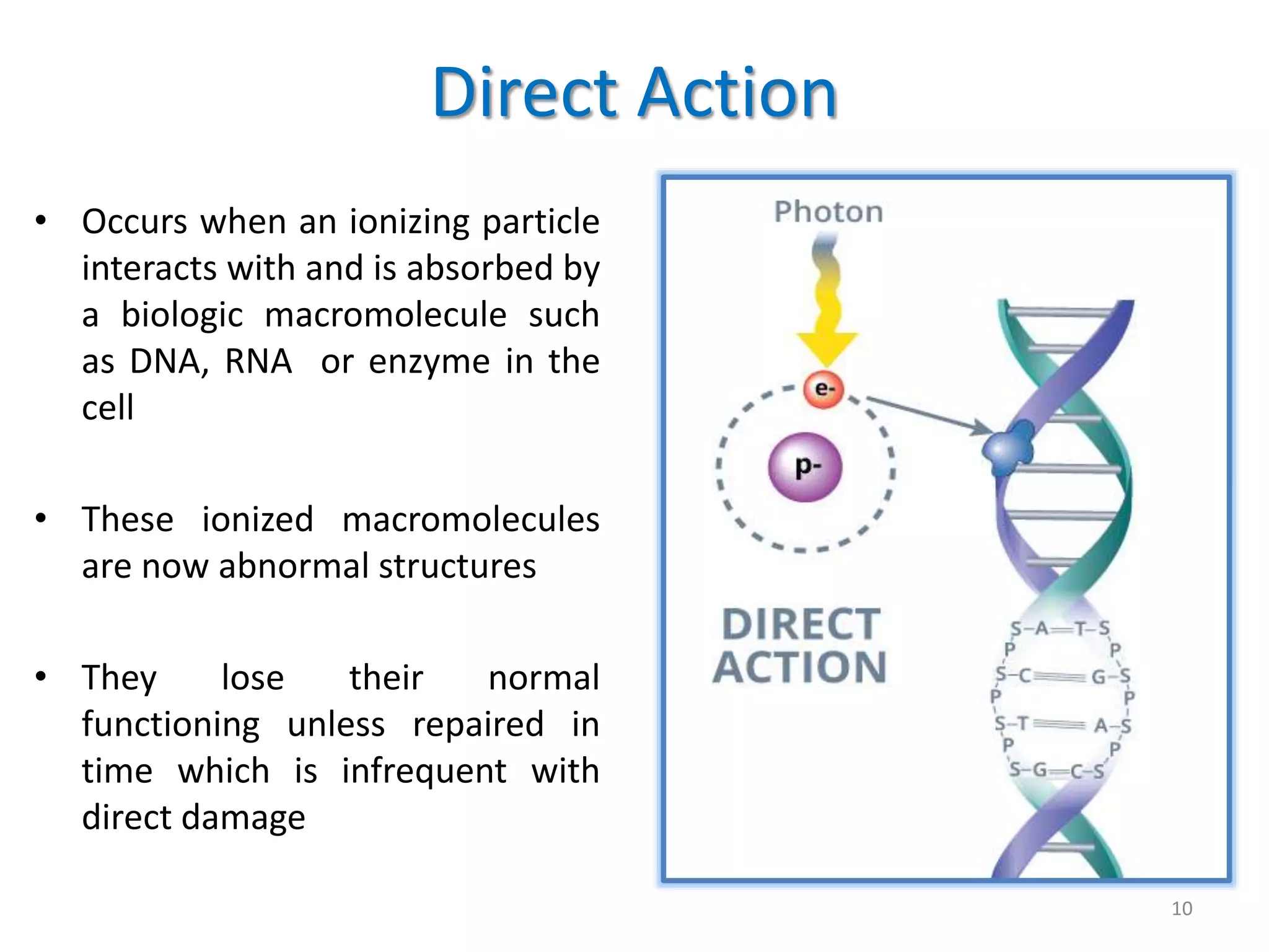 Absorption of radiation and DNA damage | PPTX
