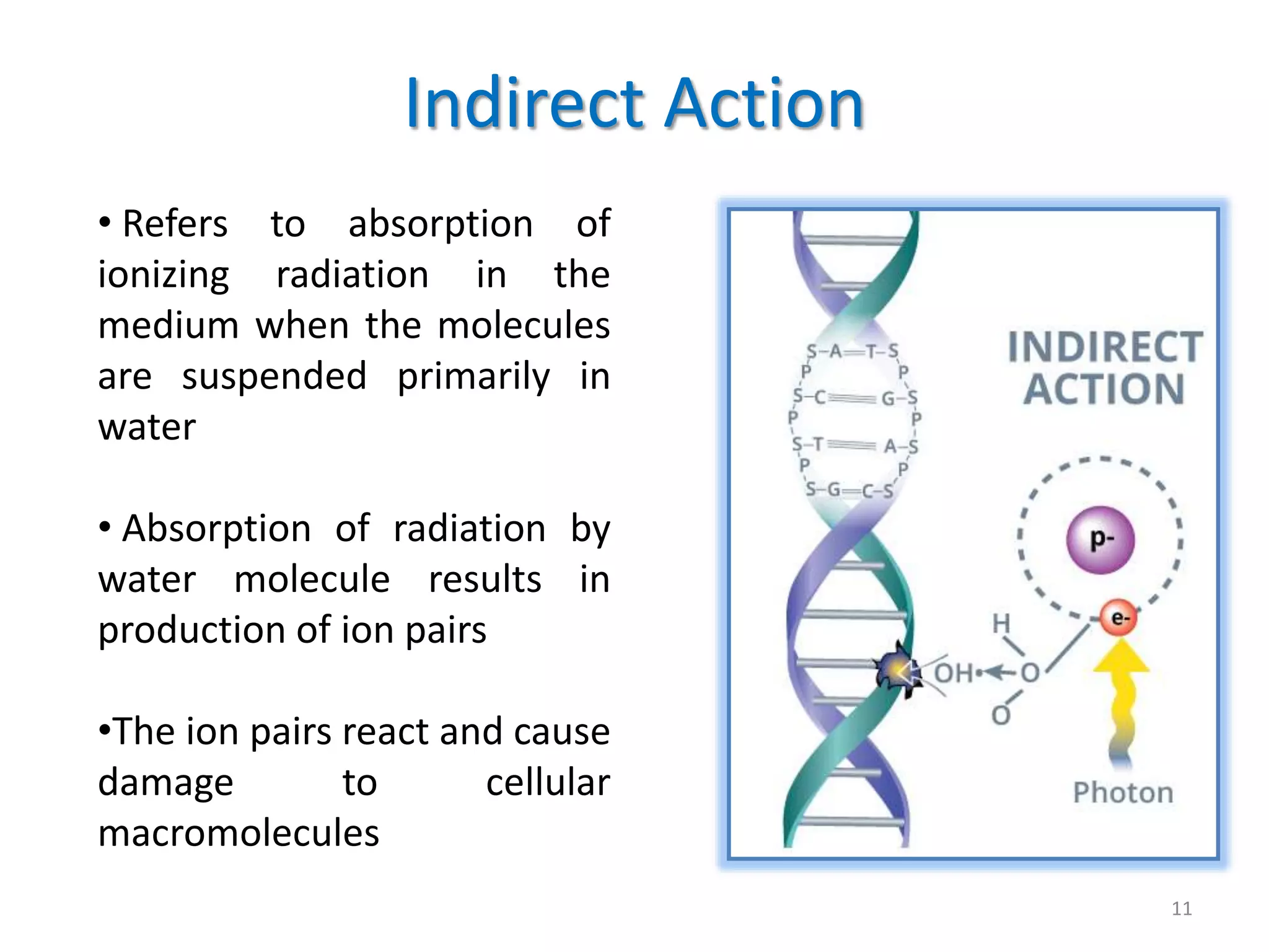 Absorption of radiation and DNA damage | PPTX