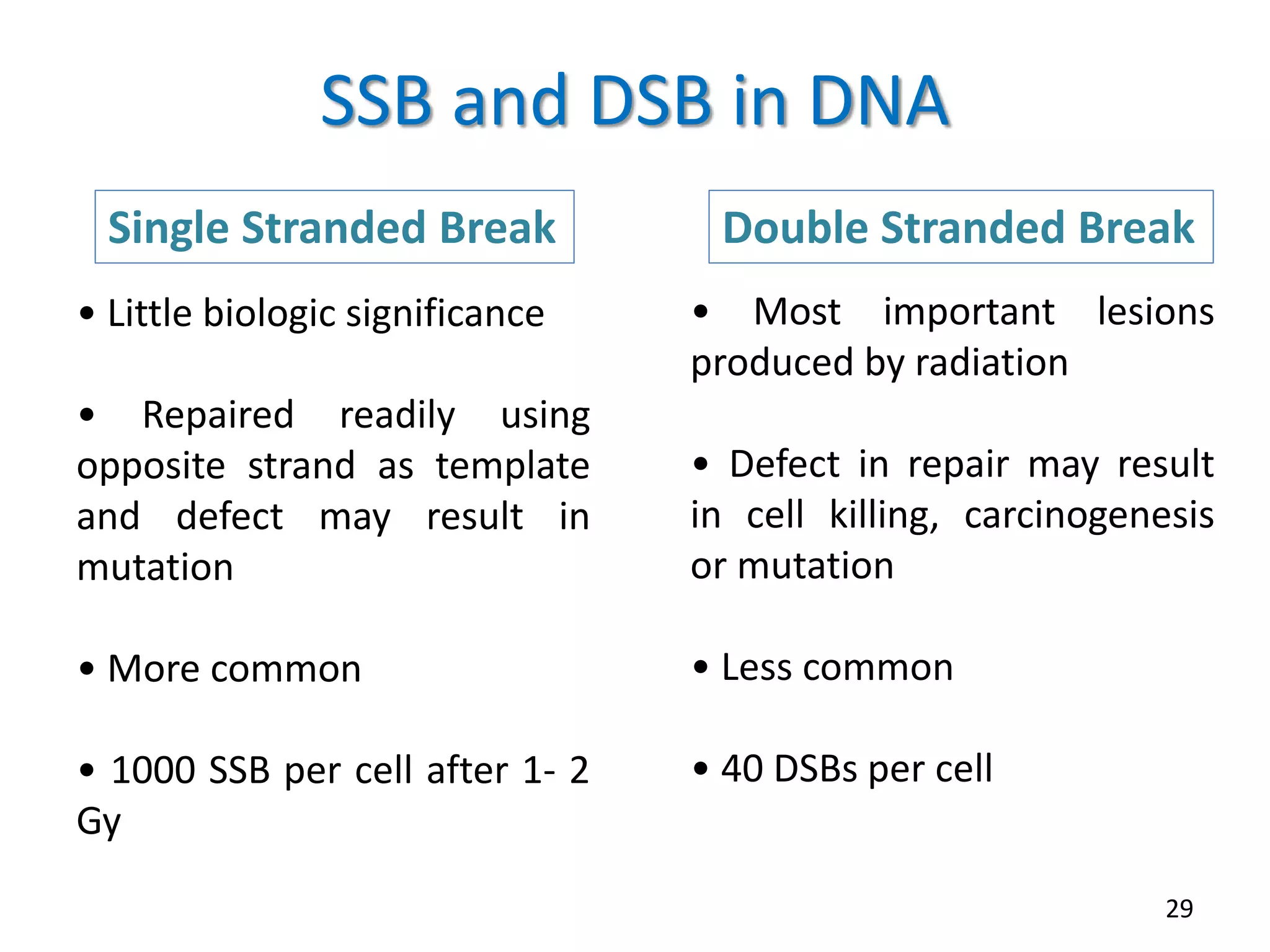 Absorption of radiation and DNA damage | PPTX