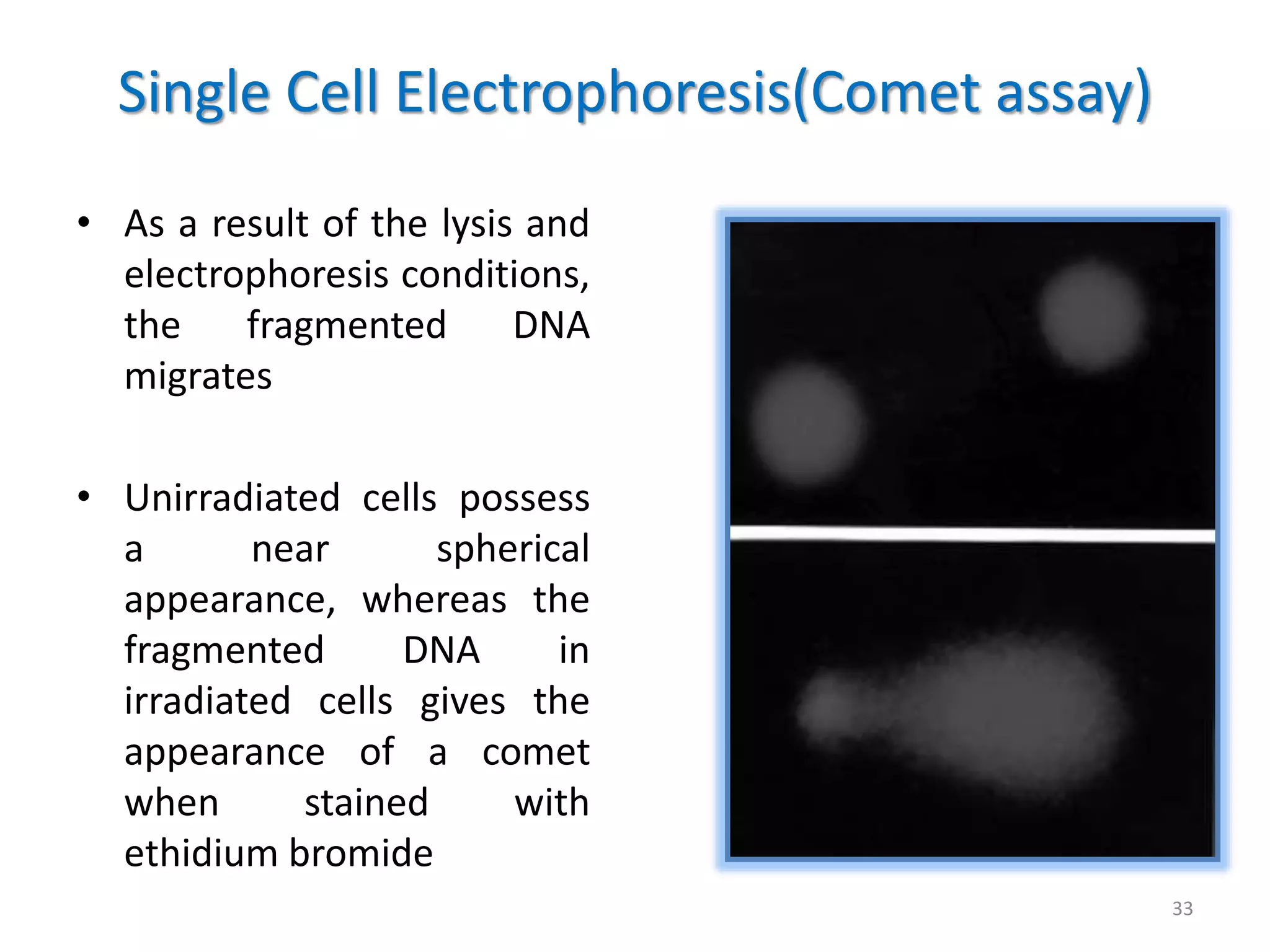 Absorption of radiation and DNA damage | PPTX