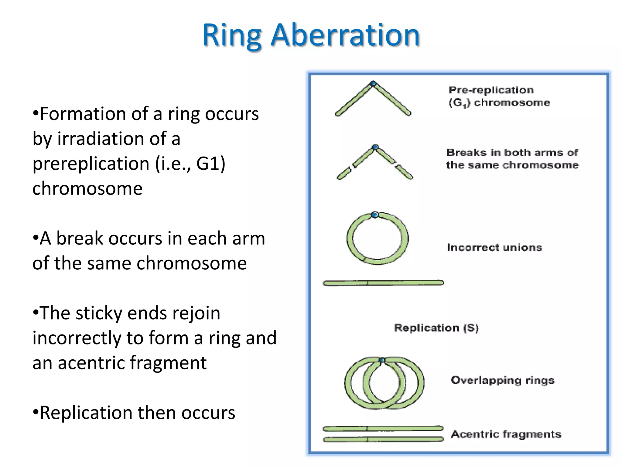 Absorption of radiation and DNA damage | PPTX