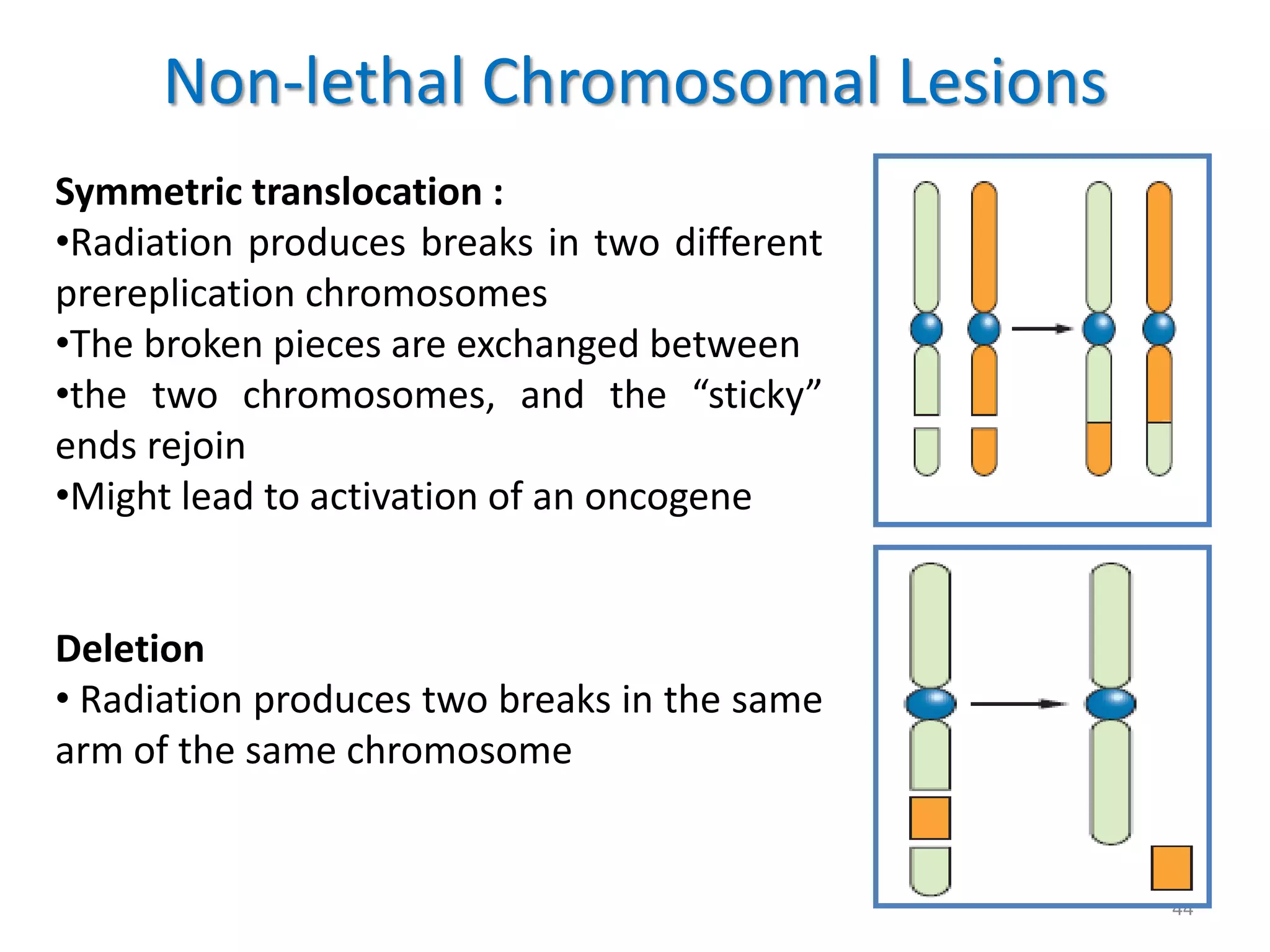 Absorption of radiation and DNA damage | PPTX