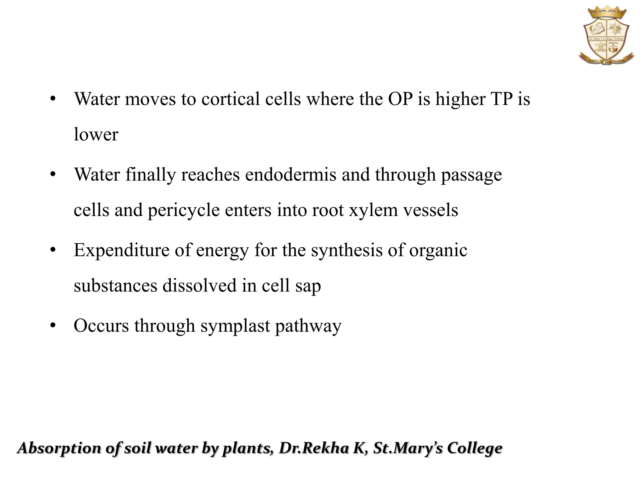 Absorption Of Soil Water By Plants | PPTX