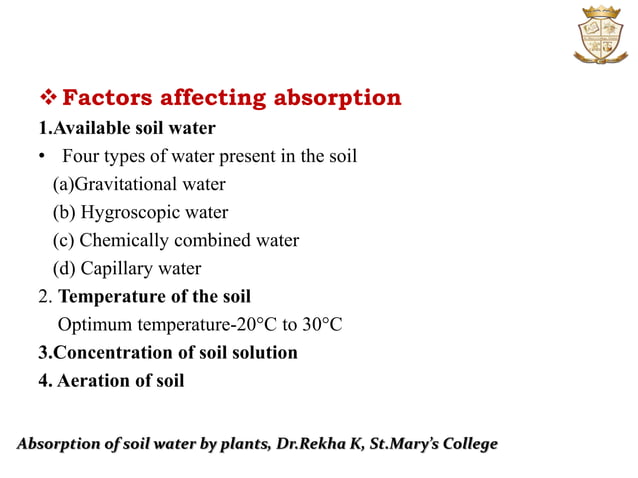 Absorption Of Soil Water By Plants | PPTX