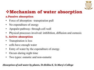 Absorption Of Soil Water By Plants | PPTX