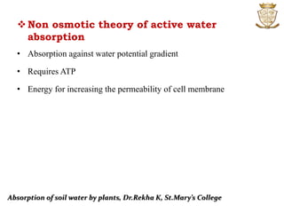 Absorption Of Soil Water By Plants | PPTX