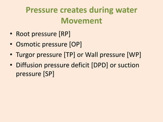 Absorption of water | PPTX