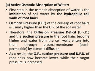 Absorption of water | PPTX