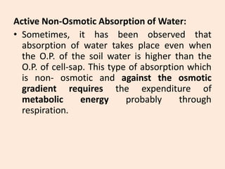 Absorption of water | PPTX