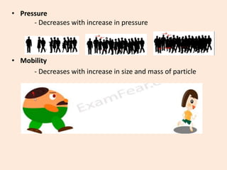 Absorption of water | PPTX