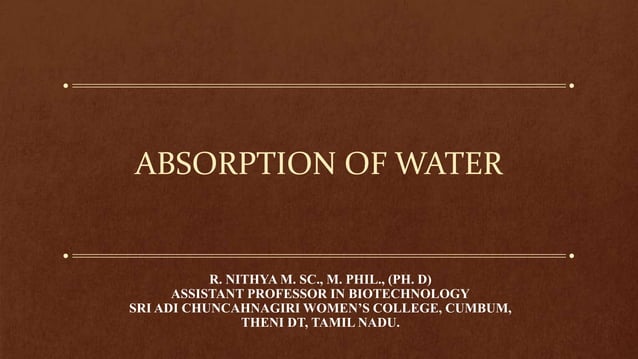 Absorption of water | PPTX | Gardening | Home & Garden