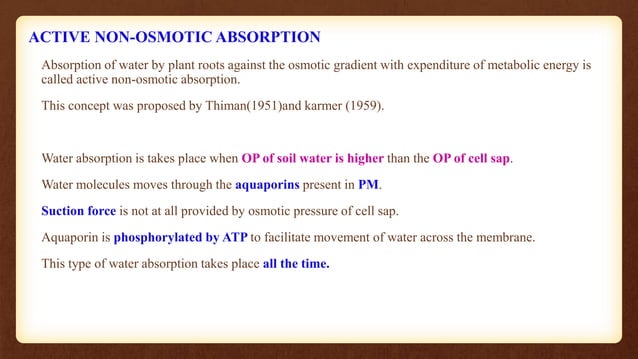 Absorption of water | PPTX | Gardening | Home & Garden