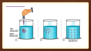 Absorption of water | PPTX