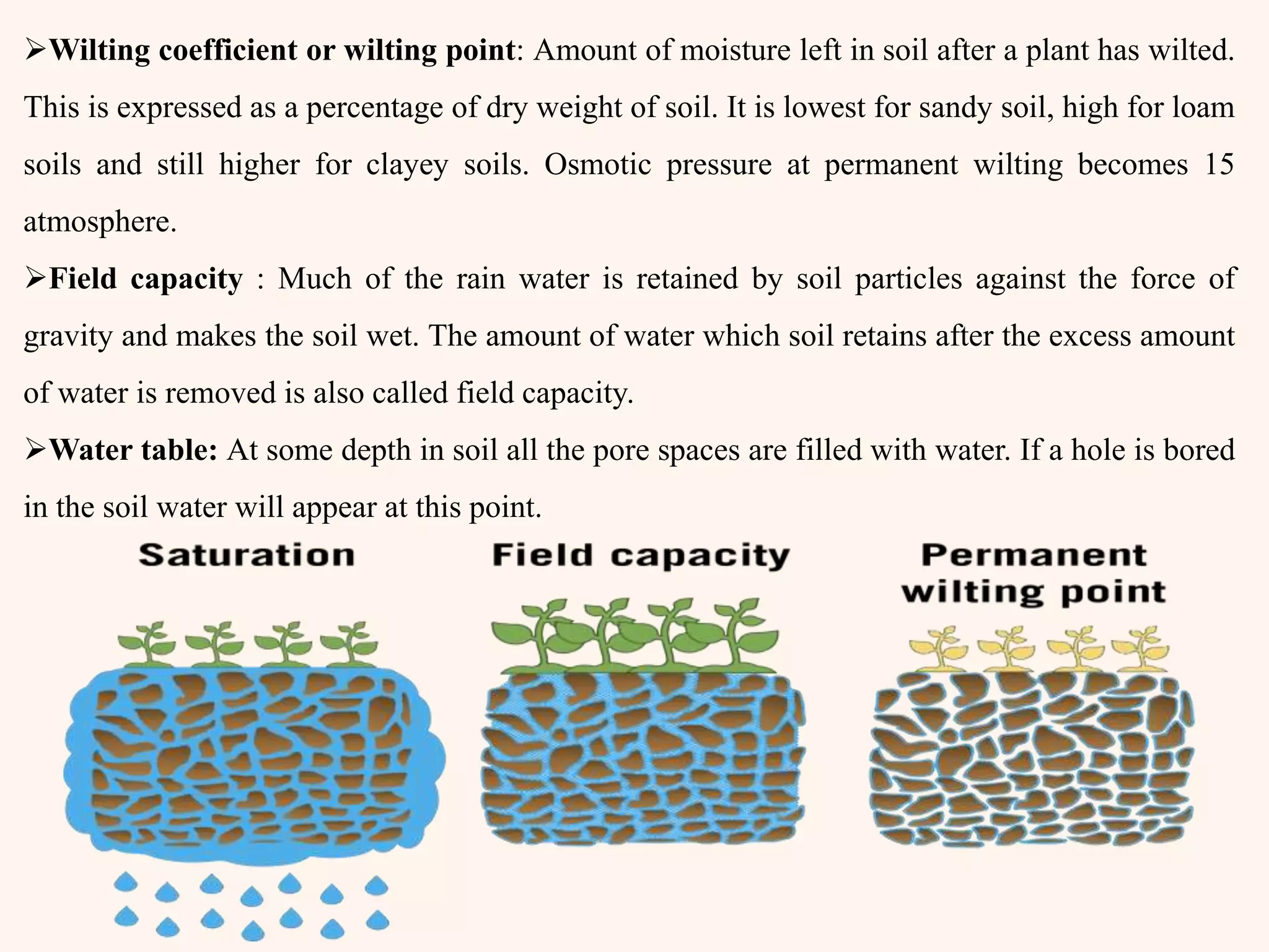 Absorption of water.pptx