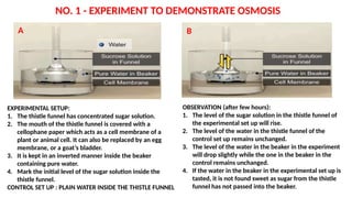 ABSORPTION OF WATER BY ROOTS BIOLOGY.pptx