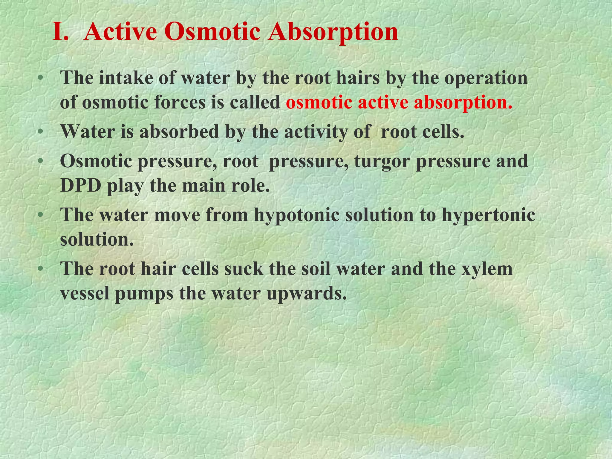 Absorption of water ppt | PPT