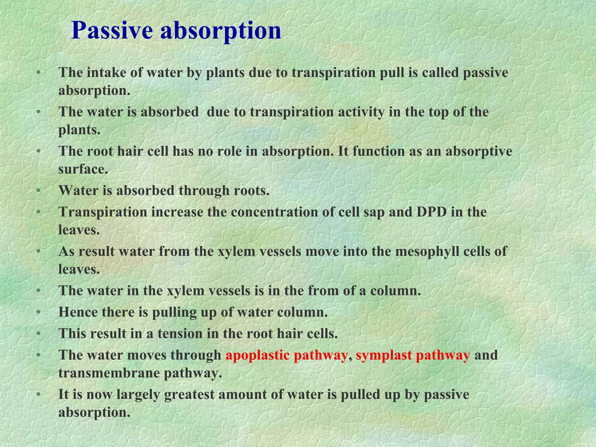 Absorption of water ppt | PPT