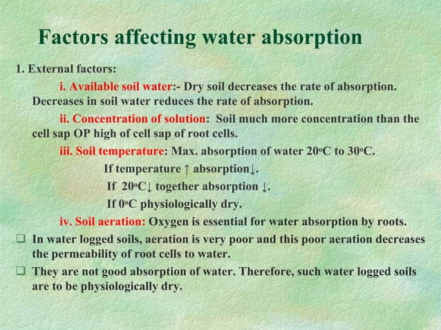 Absorption of water ppt | PPT | Gardening | Home & Garden