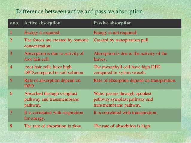 Absorption of water ppt