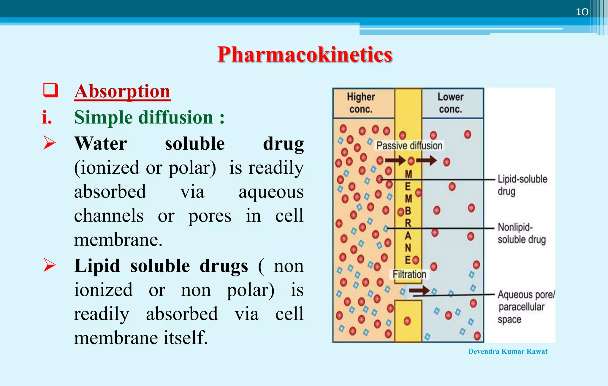 Absorption Pharmacokinetics (pharmacology and toxicology) | PPT