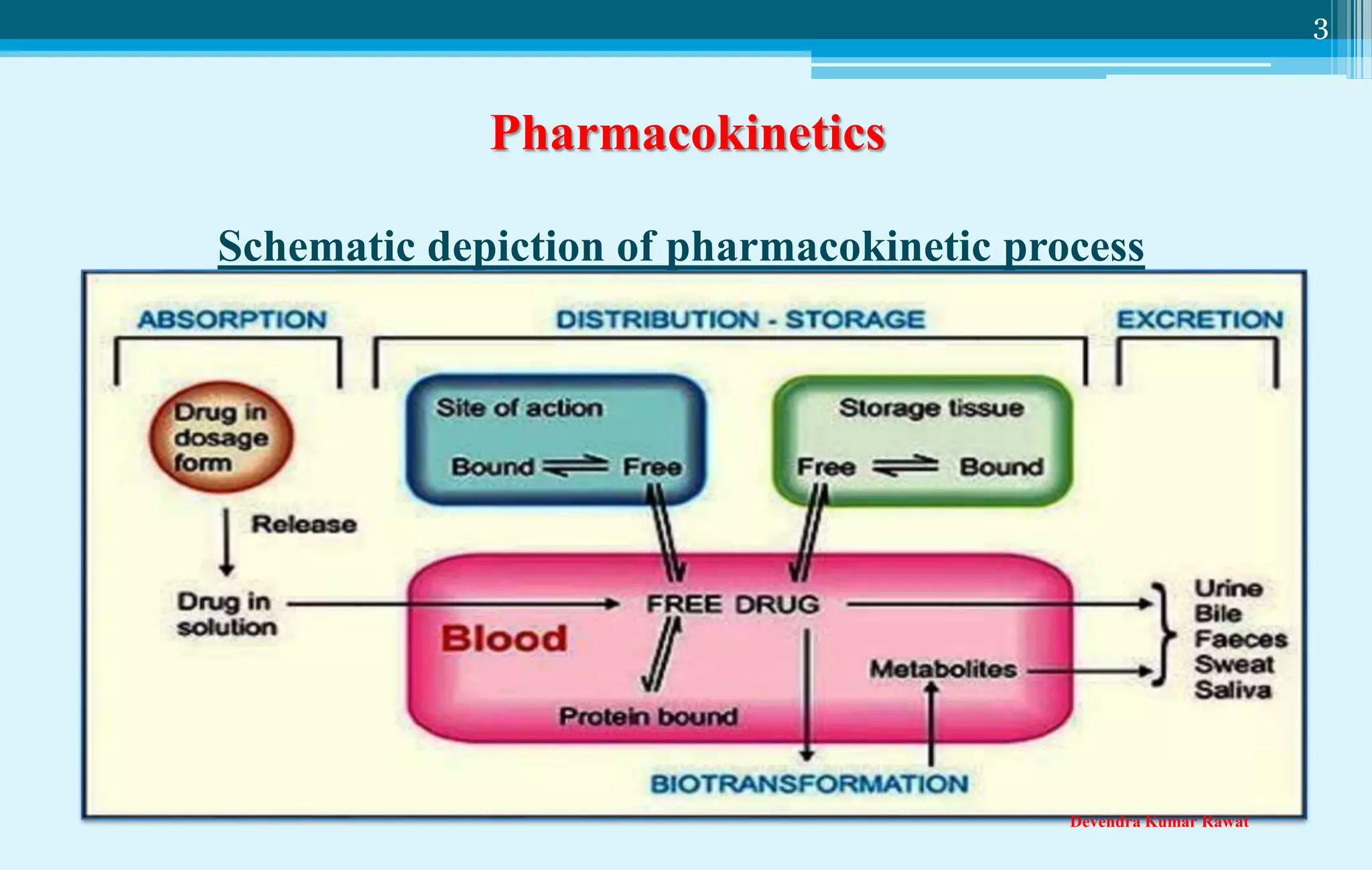 Absorption Pharmacokinetics (pharmacology and toxicology) | PPT