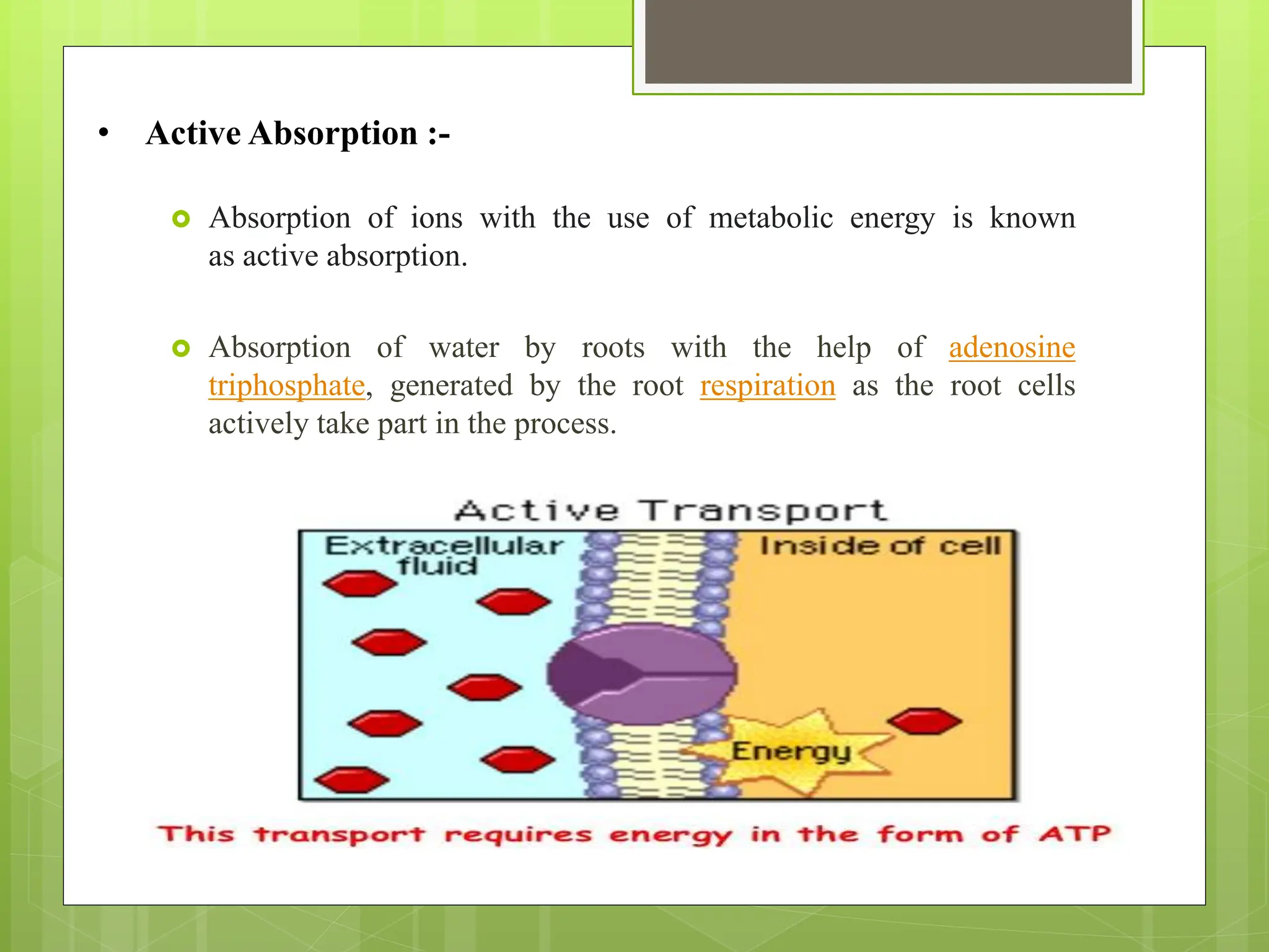 “Absorption Theory Involved In Nutrient Uptake and its Physiology and ...