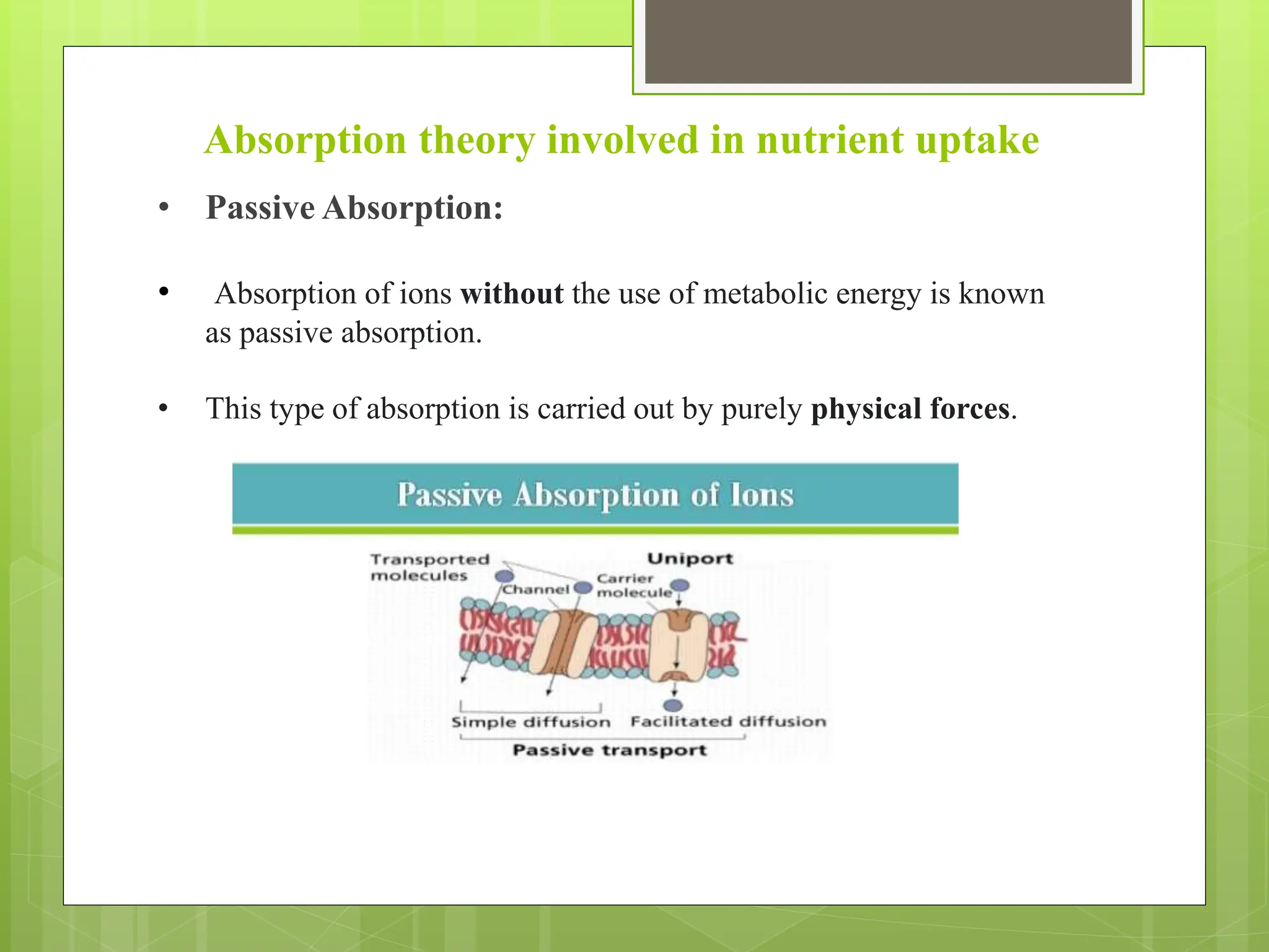 “Absorption Theory Involved In Nutrient Uptake and its Physiology and ...