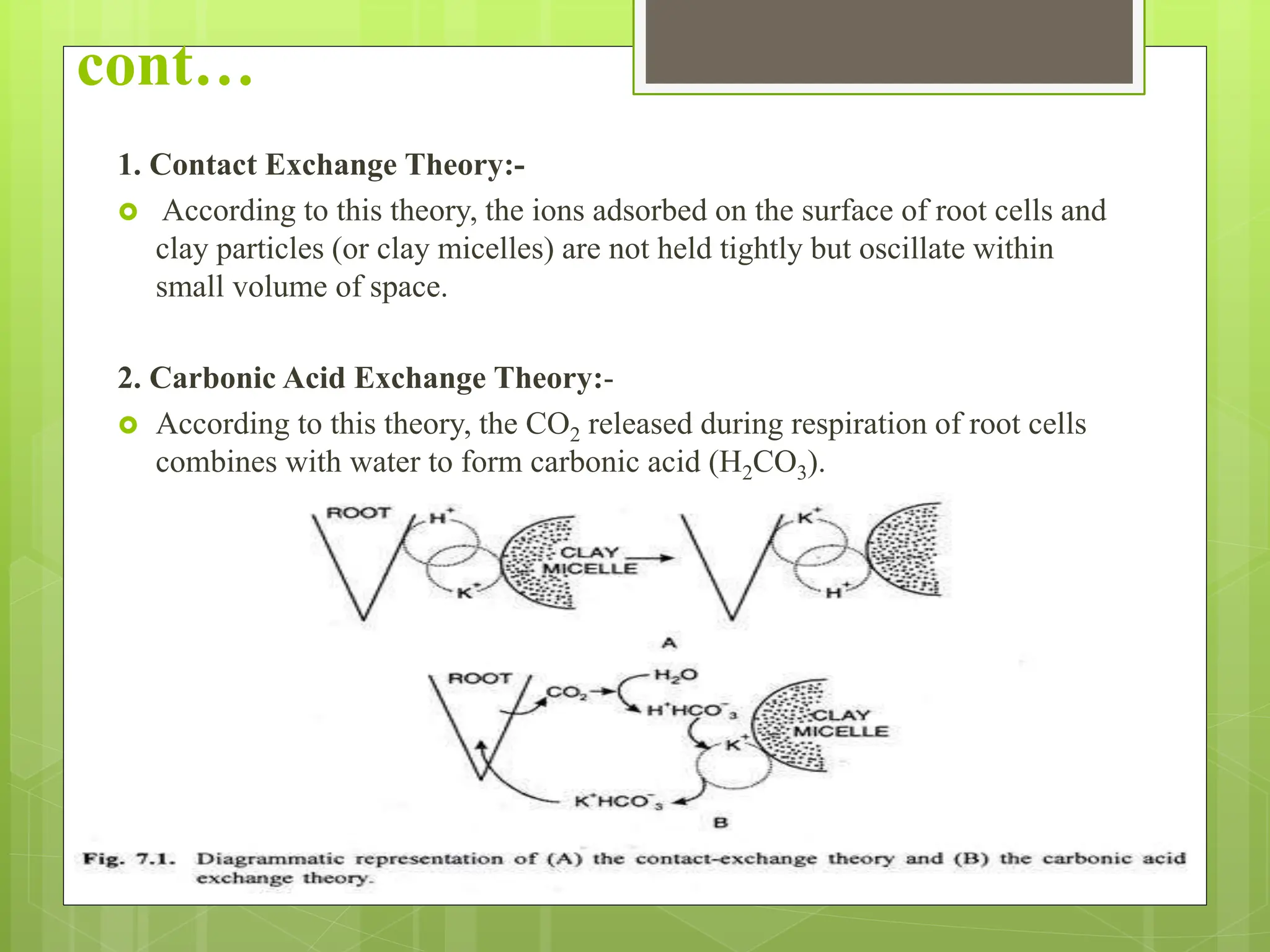 “Absorption Theory Involved In Nutrient Uptake and its Physiology and ...