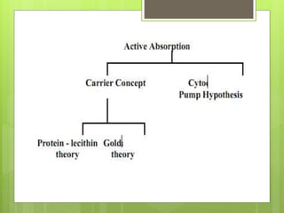 “Absorption Theory Involved In Nutrient Uptake and its Physiology and ...