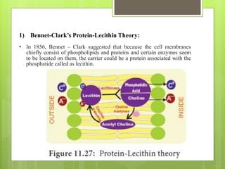 “Absorption Theory Involved In Nutrient Uptake and its Physiology and ...