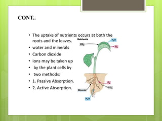“Absorption Theory Involved In Nutrient Uptake and its Physiology and ...
