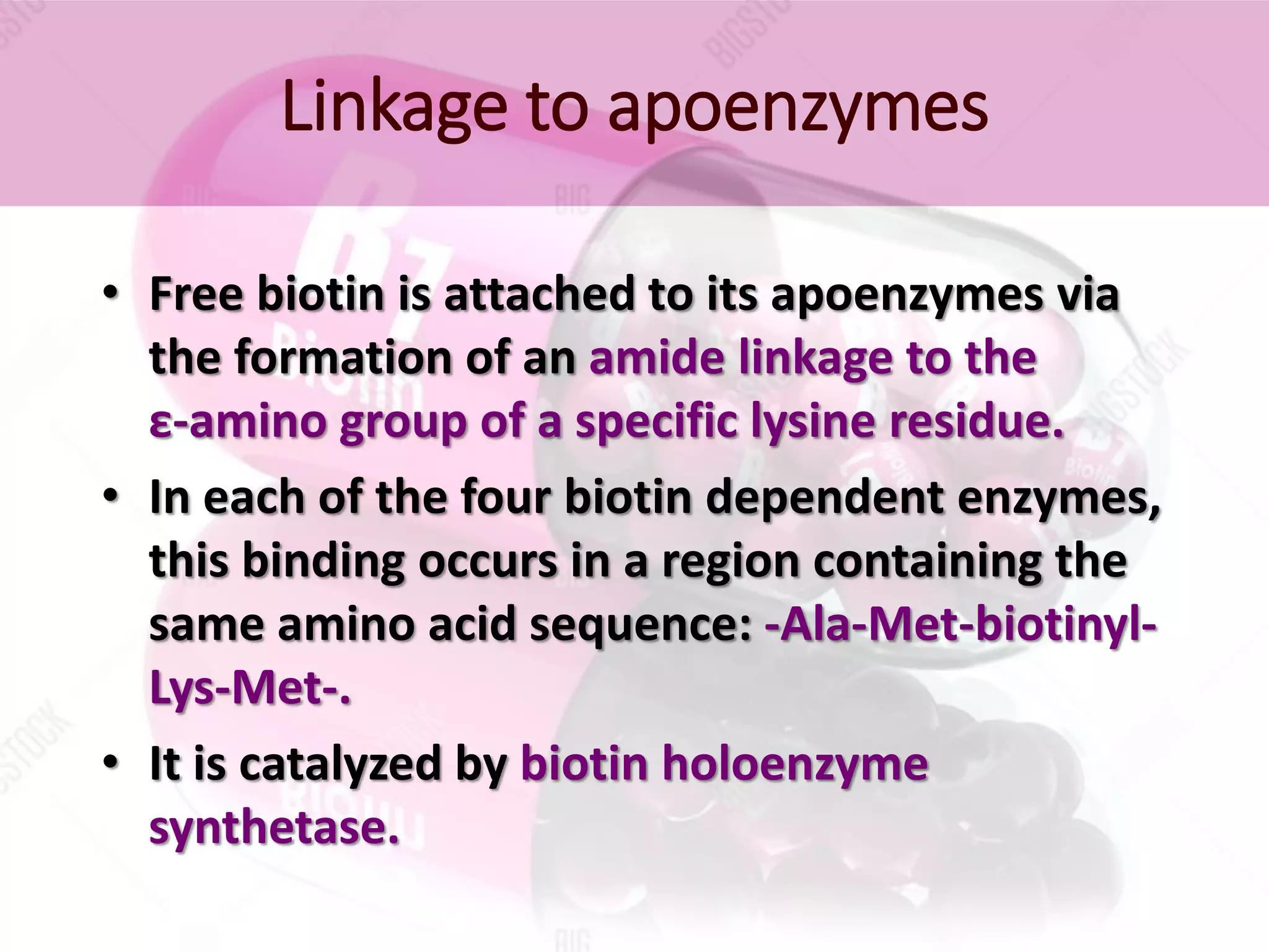 Absorption, transport and metabolism of biotin | PPSX