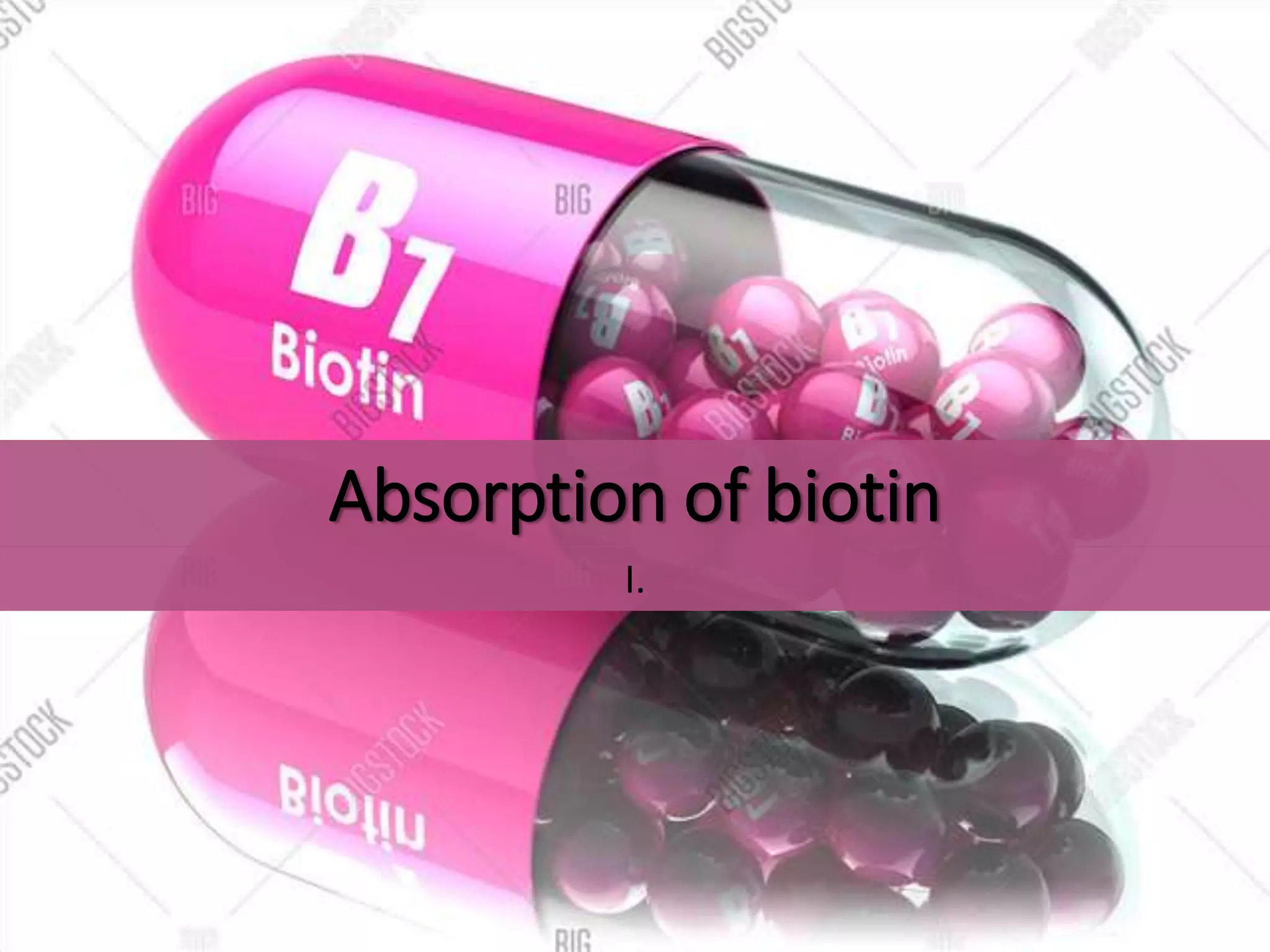 Absorption, transport and metabolism of biotin | PPSX
