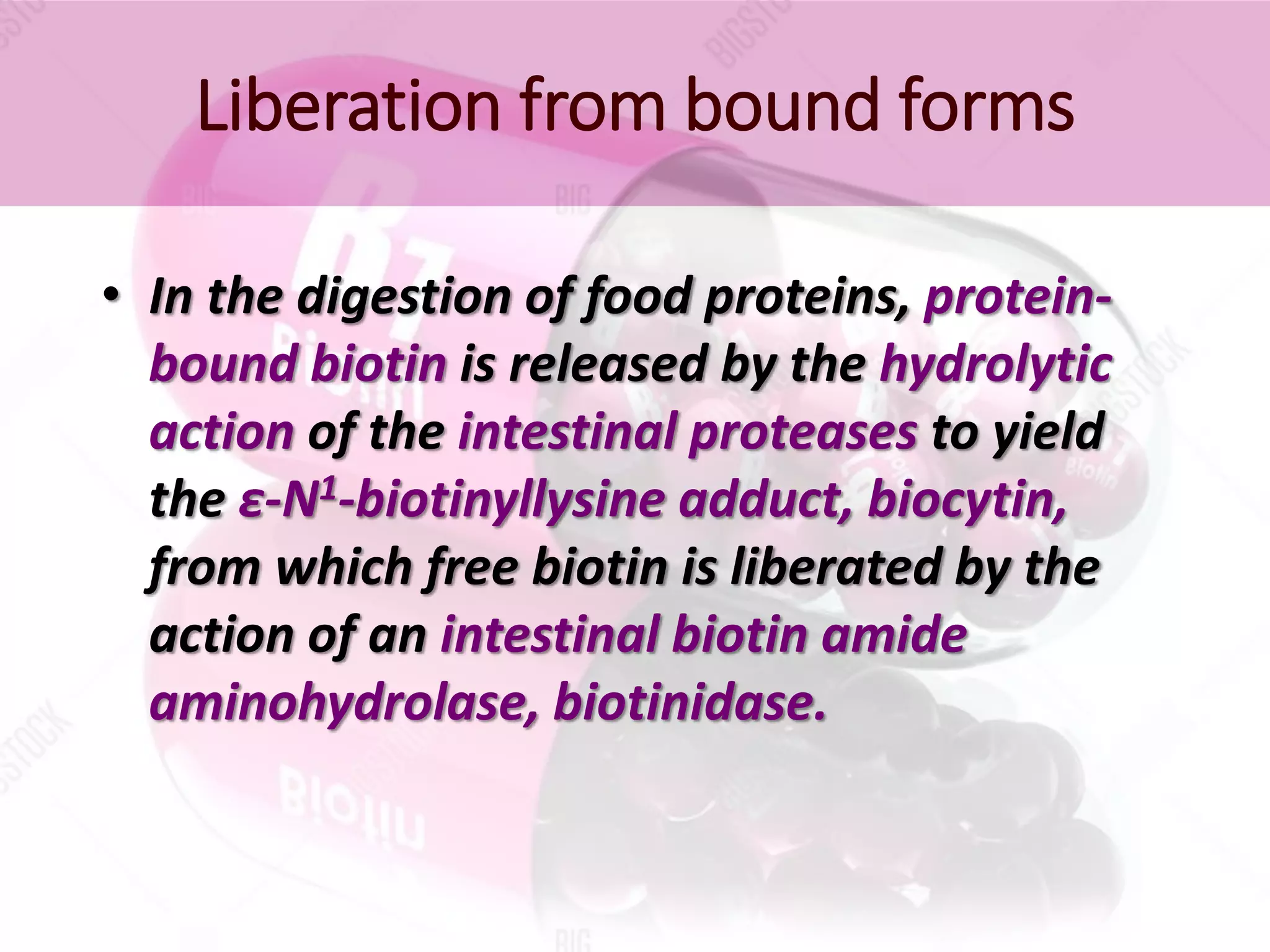 Absorption, transport and metabolism of biotin | PPSX